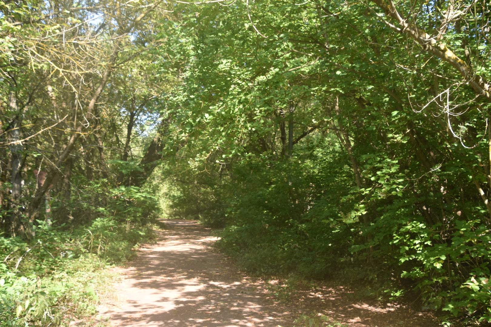 Chernobyl ~ Inside The Exclusion Zone – Travel, Wine & Shoes